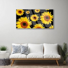 akrylový obraz Slunečnice Rostlina Příroda 100x50 cm