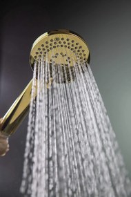 Deante Ruční sprcha Arnika se 3 funkcemi - NQA Z51S