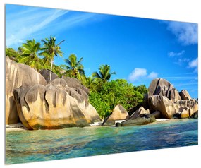 Obraz mořské pláže s palmami (120x80 cm)