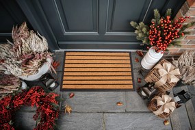 Hanse Home, Rohožka Striped 105935 - na ven i na doma, 45x75, hnědá, chodba / předsíň
