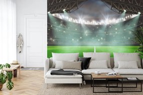 Fototapeta Fotbalový Stadion Omyvatelný vlies 400x280