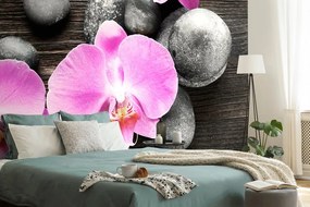 Fototapeta nádherná orchidej a kameny - 375x250 cm