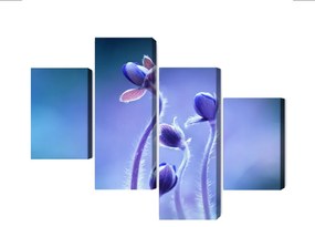 Vícedílný obraz Jemné Květiny V Makro Měřítku Nedostatek Nedostatek Plátno Canvas 80x50