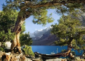 Fototapeta na míru Horské Jezero | Vliesová fototapeta na zed' | DFTNXXL1113