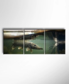 Malvis ® Obraz Štika pod vodou ROZMĚR (šířka x výška): třídílný obdélník 150x60 cm