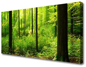 Obraz na plátně Les Zeleň Stromy Příroda 120x60 cm
