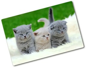 Wallmuralia Kuchyňská deska skleněná Tři kočky na dece 80x52 cm