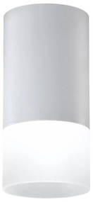 Candellux | Bodové svítidlo TUBA 1xGU10/15W/230V šedá/bílá | CA0474