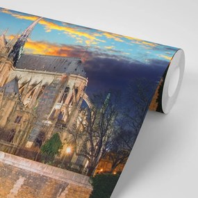 Samolepící fototapeta katedrála Notre Dame