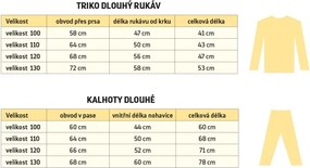 Bellatex Triko dlouhý rukáv  Růžová rozměr 100