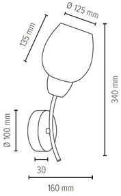 Spot-Light 8320174 - Nástěnné svítidlo PARMA 1xE27/60W/230V