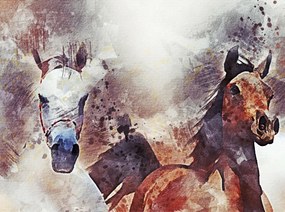 Malvis ® Obraz koně Velikost: 120x80 cm