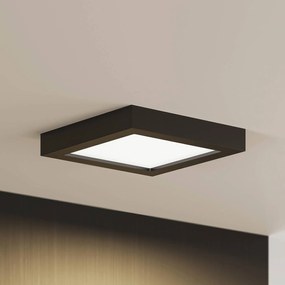 Stropní svítidlo Prios Alette LED, černé, CCT, 18 W