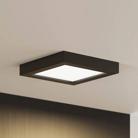 Stropní svítidlo Prios LED Alette, černé, 18 W, CCT, stmívatelné