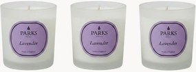Sada ručně vyrobených vonných svíček Vintage Aromatherapy (levandule, heřmánek a bílé pižmo), 3 díly