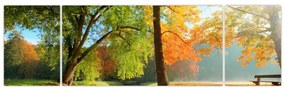 Obraz - Klidná podzimní krajina (170x50 cm)