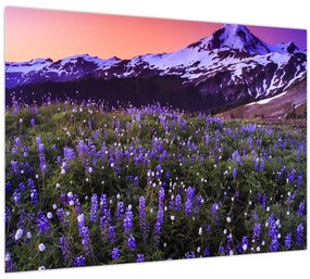 Obraz - Sopka a květiny (70x50 cm)