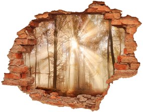 Wallmuralia Díra 3D ve zdi nálepka Mlha v lese podzim 90x70 cm