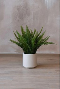 Umělá kapradina v květináči IRATZEA, plast, výška 55 cm, zelená