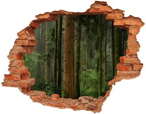 Wallmuralia Fototapeta díra na zeď Mlha v lese 90x70 cm