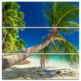 Obraz na plátně - Pláž s palmami  - čtverec 384C (105x105 cm)