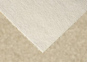 Koberce Breno Metrážový koberec MICHIGAN 91, šíře role 400 cm, Béžová, Vícebarevné