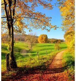 Třídílná vliesová fototapeta Louka, rozměr 225x250cm, MS-3-0066