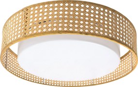 Toolight Toolight, LED stropní svítidlo plafon s ratanovým stínítkem 4000K, APP1934-C, bílá-ratan, 50 cm, OSW-66090