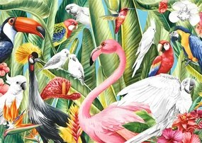 TREFL Puzzle Creative Rajští ptáci / 500 dílků / 48 x 34 cm