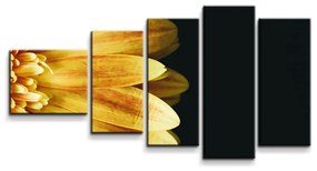 Sablio Obraz - 5-dílný Žlutá gerbera - 100x60 cm
