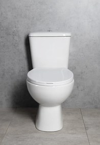 Aqualine Aqualine, MANUEL WC kombi mísa s nádržkou včetně splachovací soupravy, spodní odpad, bílá, PS8814