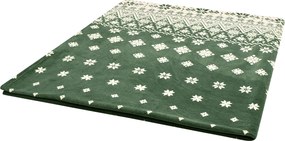 Livarno® Hebká deka, 180 x 220 cm (zelená)