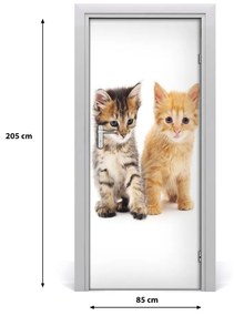 Samolepící fototapeta na dveře Šedá a rudá kočka 85x205 cm