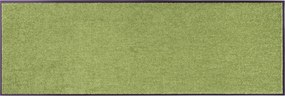 Hanse Home, Rohožka Wash & Clean 101470 Green, 60x180, zelená, chodba / předsíň