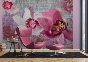 Fototapeta na míru Smyslné Orchideje | Vliesová fototapeta na zed' | DFTNXXL1148