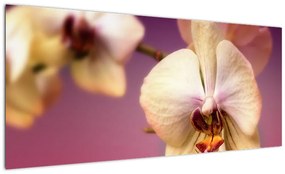 Obraz - orchidej (100x40cm)