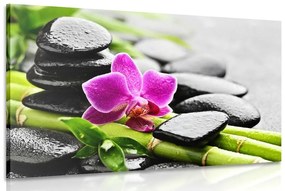 Obraz Spa zátiší s fialovou orchidejí - 120x80 cm
