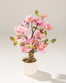 Kvetoucí Sakura Pink v květináči 50 cm