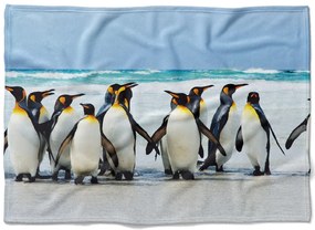 IMPAR Fleecová deka Tučňáci 150x120 cm (Rozměr : 200 x 140 cm, Podšití beránkem: NE)