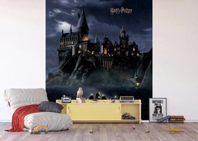 Dětská vliesová fototapeta na zed' Harry Potter | 225 x 270 cm | DFTD3P5175