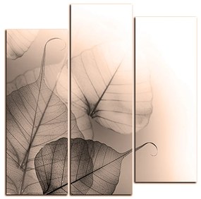 Obraz na plátně - Květinové listy - čtverec 3149FC (105x105 cm)