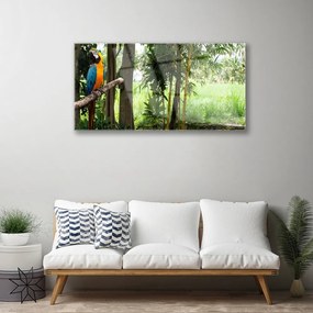 Obraz na skle Papoušek Stromy Příroda 140x70 cm