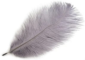 Pštrosí peří délka cca 20-25 cm 2 kusy - 11 šedá holubí