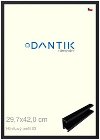 DANTIK rámeček 29,7x42 | ALU profil 7003 Černá matná (Plexi Čiré)