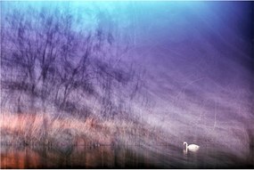 Jiří Hřebíček | Drifting Into A Dream Rám: Bílý, Velikost: 30 x 40 cm