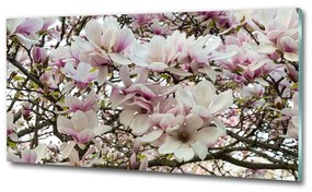 Wallmuralia Foto obraz sklo tvrzené Květiny magnolie 100x50