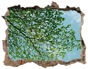 Wallmuralia Díra 3D ve zdi nálepka Listí na nebi 95x64 cm