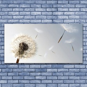 Plexisklo-obraz Pampeliška Květiny Příroda 120x60 cm