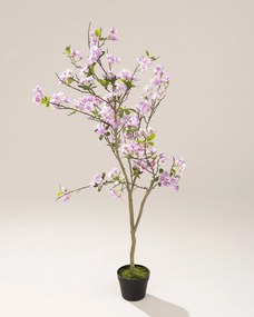 Sakura v květináči 130 cm