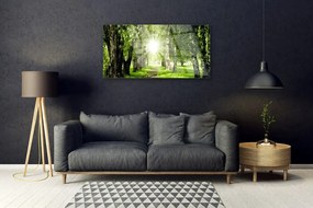 akrylový obraz Les Slunce Stezka Příroda 100x50 cm